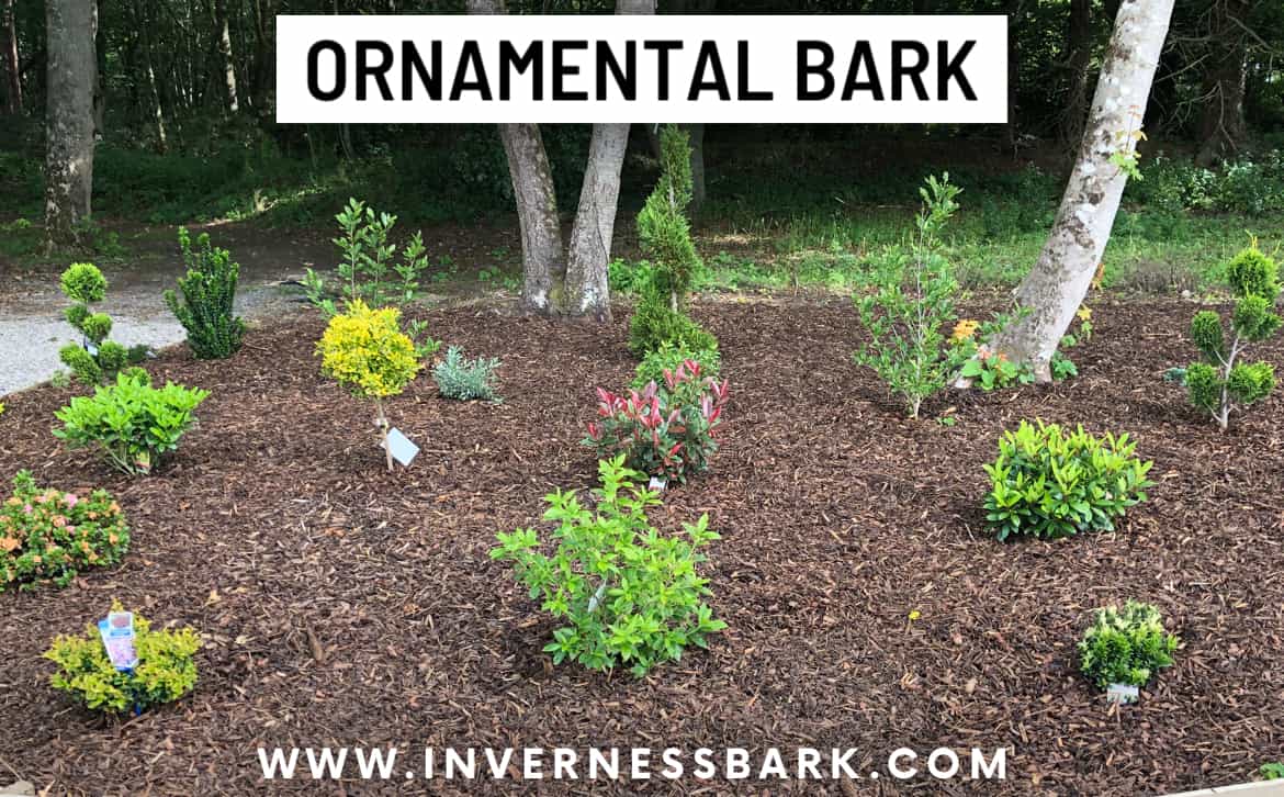 Inverness Bark – Decorative Bark, Ornamental Bark, Nursery Bark ...